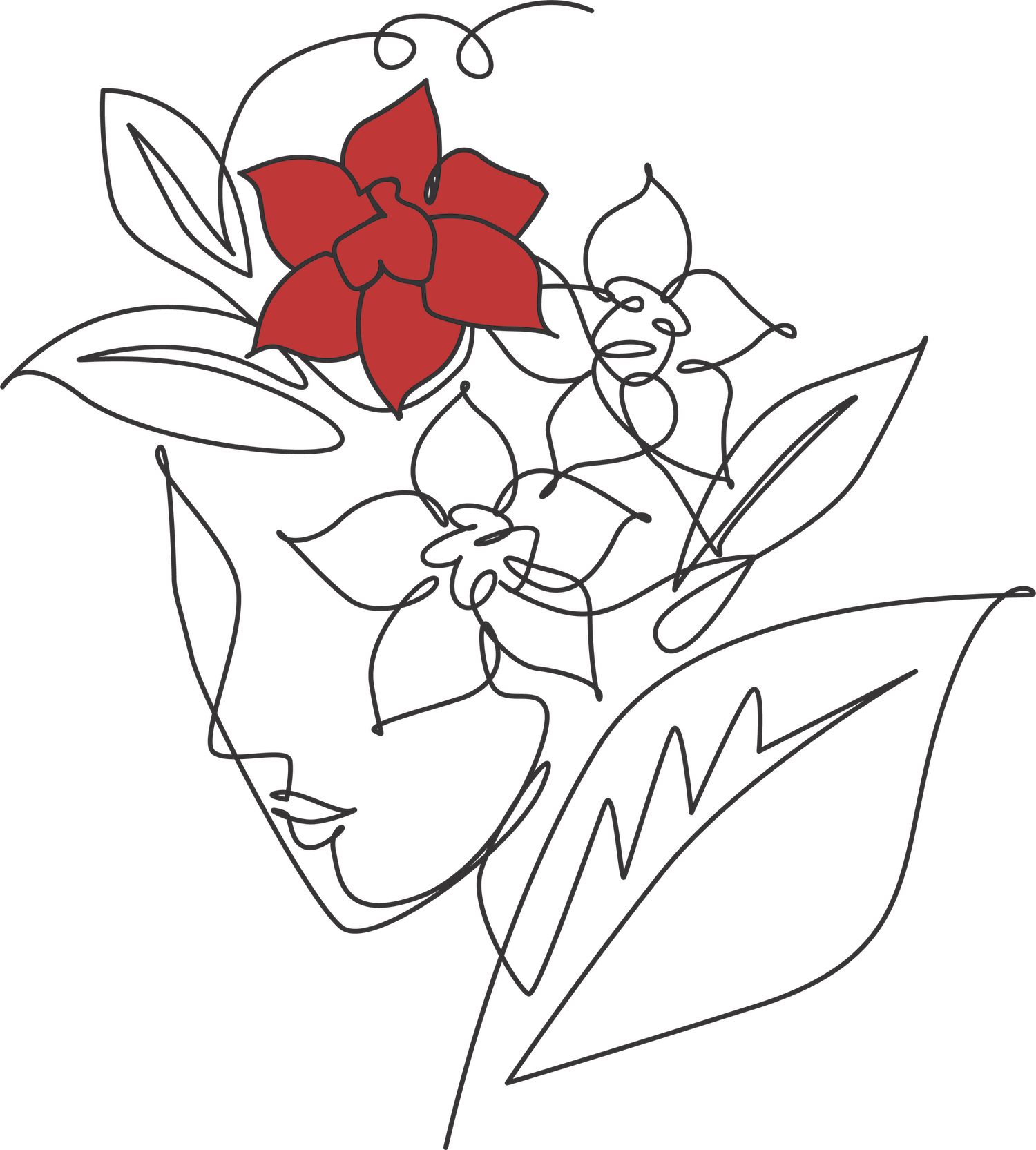 Spectrum Services - Resources